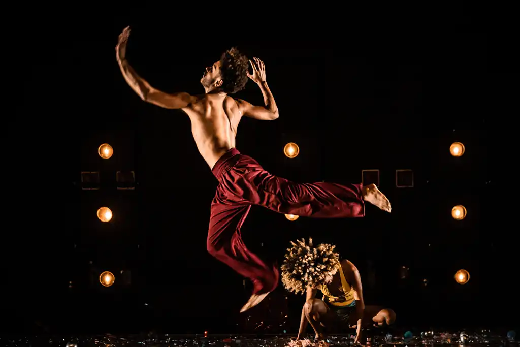 Zona Franca d'Alice Ripoll | chroniques